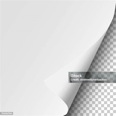 컬된 코너 부드러운 그림자와 투명 한 다음 페이지 흰 종이의 시트 요소 텍스트 광고 및 다른 목표에 대 한 공간 서식 파일 종이 디자인 벡터 일러스트입니다 신문에 대한 스톡
