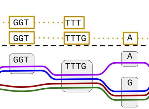 Modern And Ancient Genomes Group Home