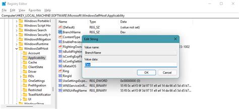 Bypass TPM 2 0 And Install Windows 11 Via Windows Update DevsJournal