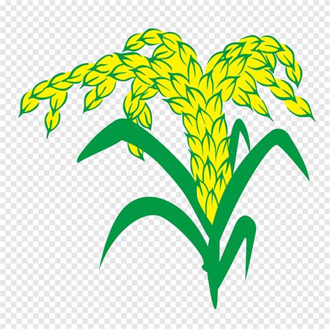 Gambar Vector Padi Vecteur G