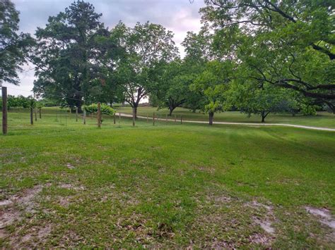 Mk Farm Hipcamp In Lapine Alabama
