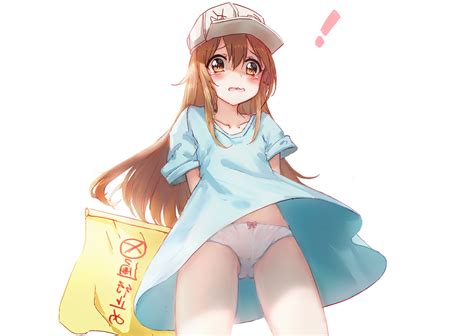 Platelet Hataraku Saibou Drawn By Xing Danbooru