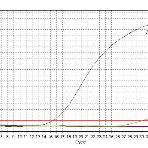 Specificity Evaluation Of Taqman Mgb Fluorescent Quantitative Rt Pcr