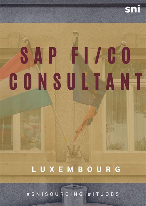 Sni On Linkedin Sapfico Sapfinance Saphana S4hana Sapjobs