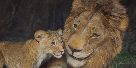 Mufasa Fixed One Of 2019s The Lion Kings Biggest Flaws
