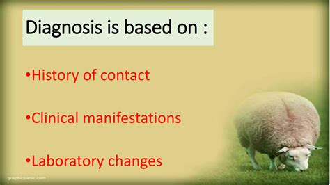 Diagnosis Of Brucellosis PPT