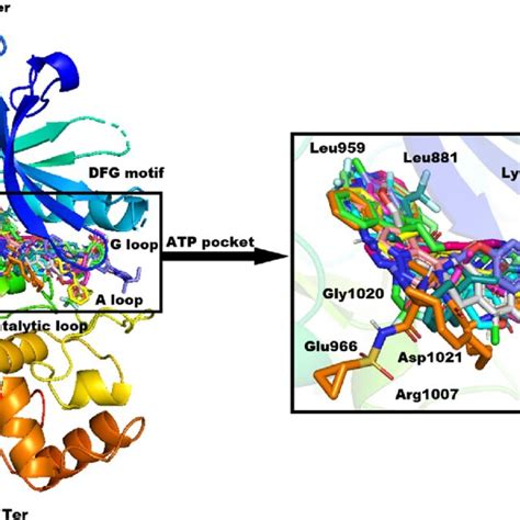 Evolution Of The Bioactive Conformation Of A Exatecan B Fosnetupitant