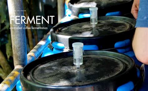 Controlled Coffee Fermentation Paved The Way For The Development Of Experimental Processing