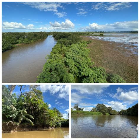 Qué Ver En Caño Negro Costa Rica Qvm Blog De Viajes