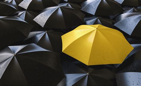 The Ultimate Guide To Umbrella Branding