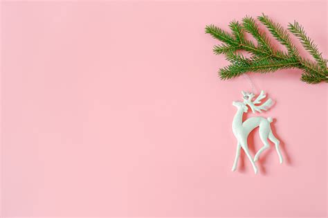 복사 공간 분홍색 배경에 전나무 지점에 흰색 크리스마스 장식 사슴 장난감 개념 메리 크리스마스 또는 새해 복 과 같은 새해 복