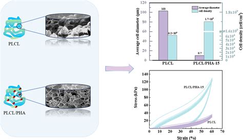 Improving Foaming Behavior Of Polyl‐lactide‐co‐ε‐caprolactone By Blending With