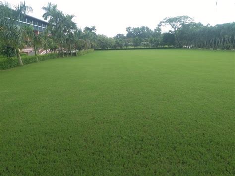 Green View Golf Resort Reviews And Photos