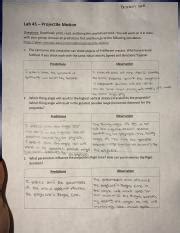 Lab 4s Projectile Motion Pdf Course Hero