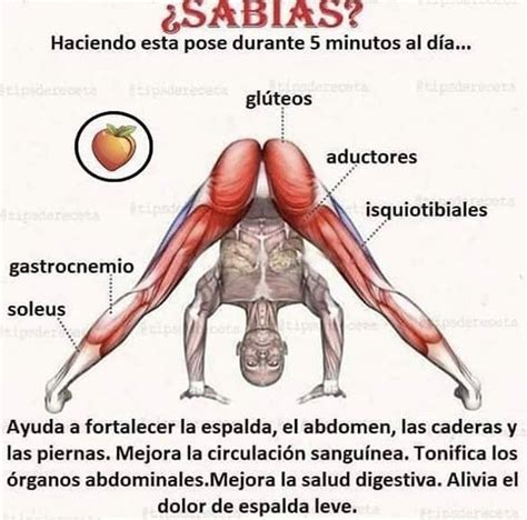 8 Ejercicios Para Fortalecer Las Rodillas Artofit