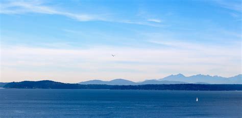 Seattle Therapy And Counseling Careers Anchor Light Therapy Collective