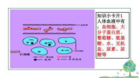 Ppt