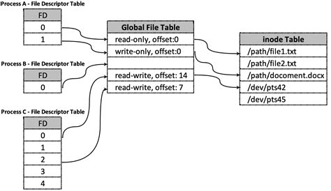 File Descriptor