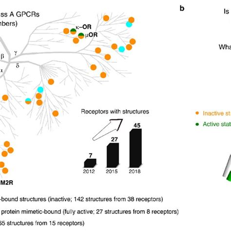 An Increasing Number Of Reported Class A Gpcr Structures Facilitates Download Scientific