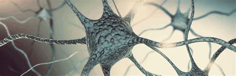 Nerve Block Treatment Nerve Pain Specialist Medpro Medical