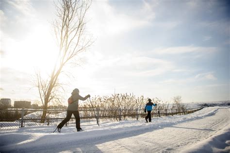 Découvrir le parc Frédéric Back en hiver Espaces