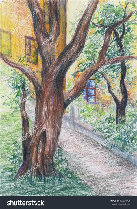 Top 999 Tree Drawing Images With Colour Amazing Collection Tree