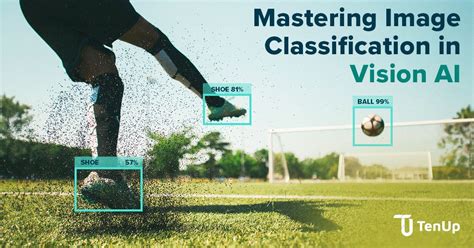 Tenup Software Services On Linkedin Imageclassification Visionai Aiservices Aisolutions…