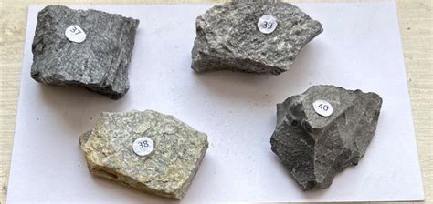 Solved Step 1 Retrieve The Samples From Your Rock And Chegg