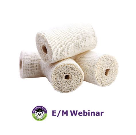 Ed Essentials Coding Integumentary Procedures Performed In The