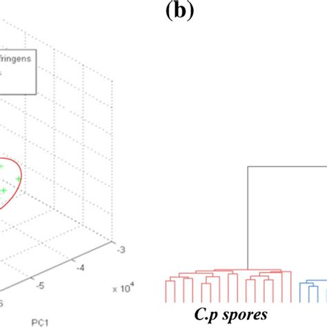A B C The Sers Spectra Of Different Spores Concentration Based On Download Scientific