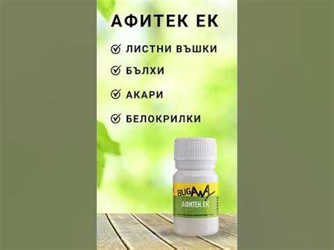 Бързо и лесно унищожаване на акарите и насекомите с Афитек ЕК #insects ...