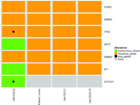 Recurrent Coding Short Nucleotide Variants Of Druggable Targets Shared
