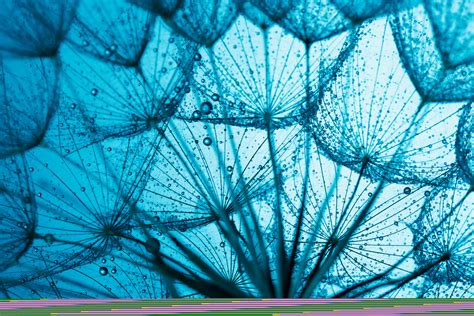 Mlperf 41 Results Poweredge R760xa With Nvidia Tensor Core Gpus