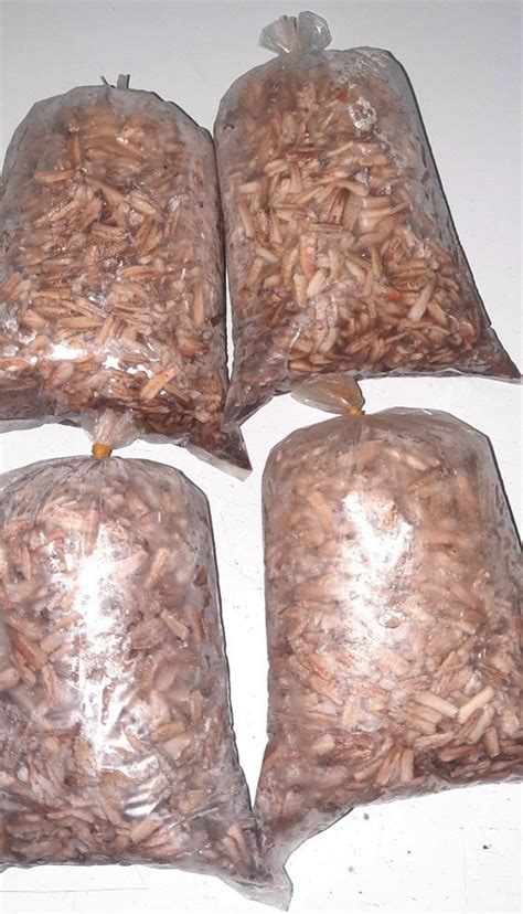 Cung Cấp Thịt Cua