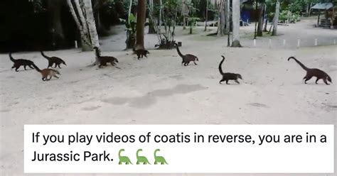 Surely The Funniest 14 Seconds Youll Spend Today The Poke