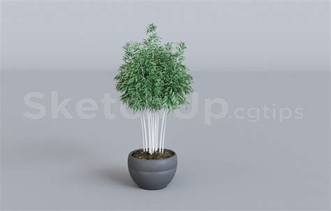12647 Free Sketchup Tree Model Download