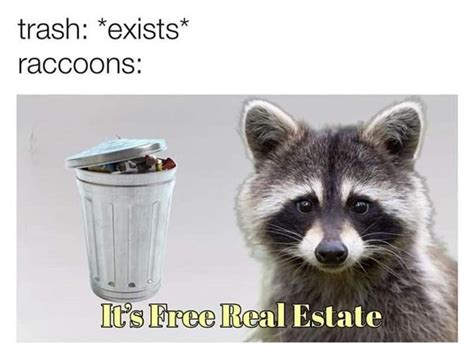The best Trash memes :) Memedroid