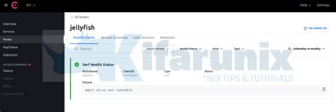 Install Consul Server On Ubuntu 2204ubuntu 2004