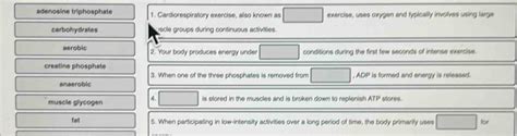 Solved Adenosine Triphosphate 1 Cardiorespiratory Exercise Also