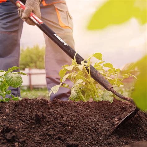 The Best Way To Kill Weeds Permanently In Seconds Pokedexindex