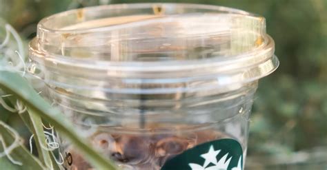 꾸미다양조하다 나뭇잎 냉장 음료 녹지 매끄러운 미니멀리스트 상쾌한 수직 비디오 술을 마시다 식물의 아이스 커피 야외 커피 야외에서 얼음 음료 얼음