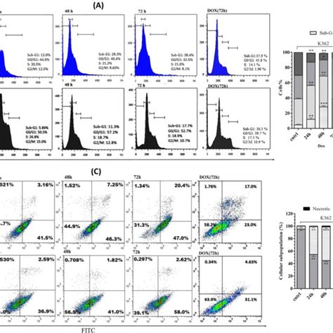Analysis Of Cell Cycle And Apoptosis By Flow Cytometry In The Untreated