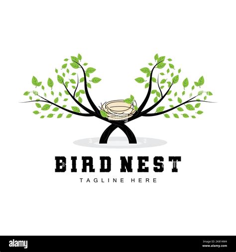 Birds Nest Logo Design Bird House Vector For Eggs Bird Tree Logo