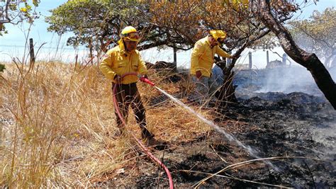 50 Incendios Forestales Han Afectado áreas Protegidas