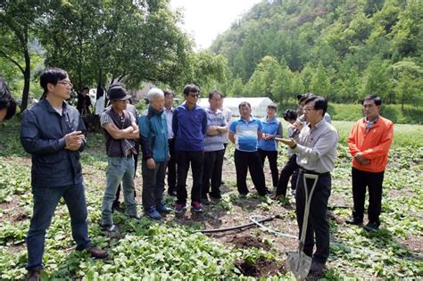 강원농업기술원 영농현장을 찾아 산채 컨설팅 아주경제