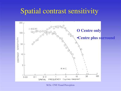 ppt concept of receptive field powerpoint presentation id 497245