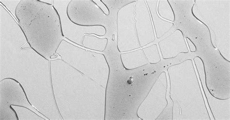 How To Use Essential Oils Beginners Guide To Wellness