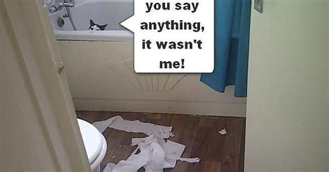 Before You Say Anything Album On Imgur