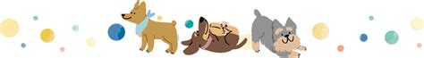 子犬の問題行動を改善！プロ監修のしつけ方法とおすすめグッズ Green Dog And Catグリーンドッグ And キャット公式通販