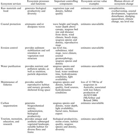 Ecosystem Services Processes And Functions Important